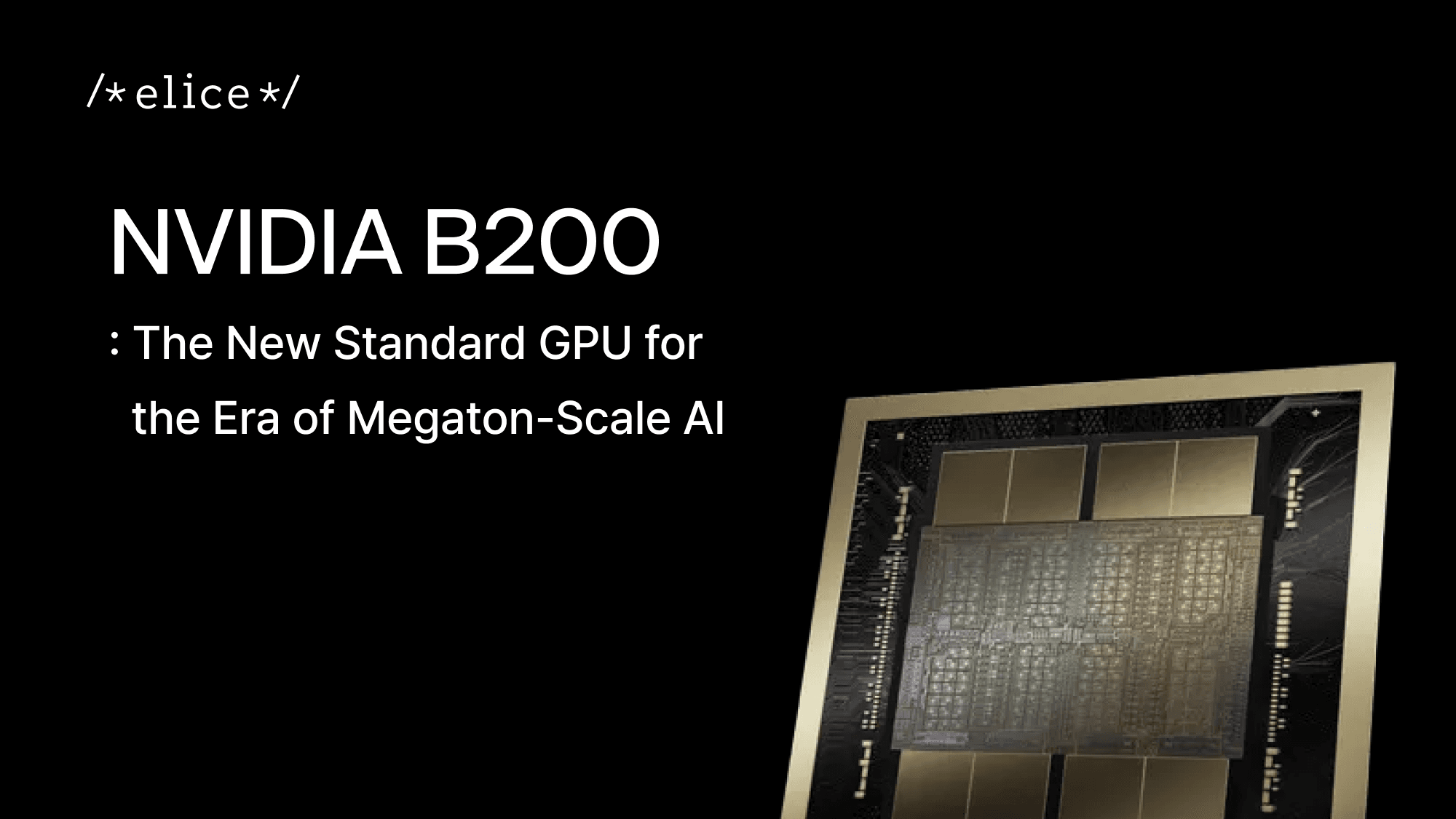 NVIDIA B200: The New Standard GPU for the Era of Large-Scale AI | Elice