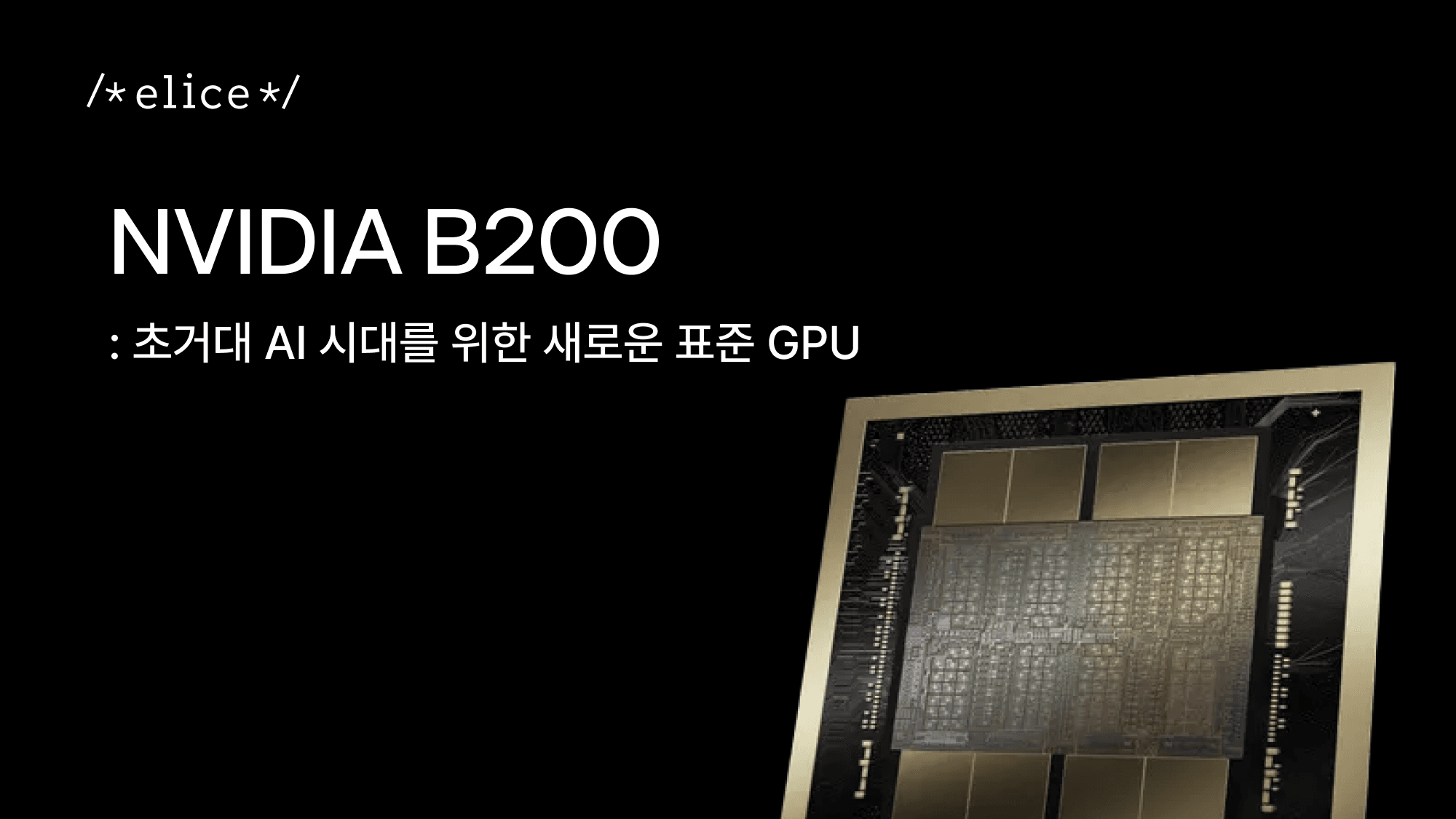 NVIDIA B200: 초거대 AI 시대를 위한 새로운 표준 GPU